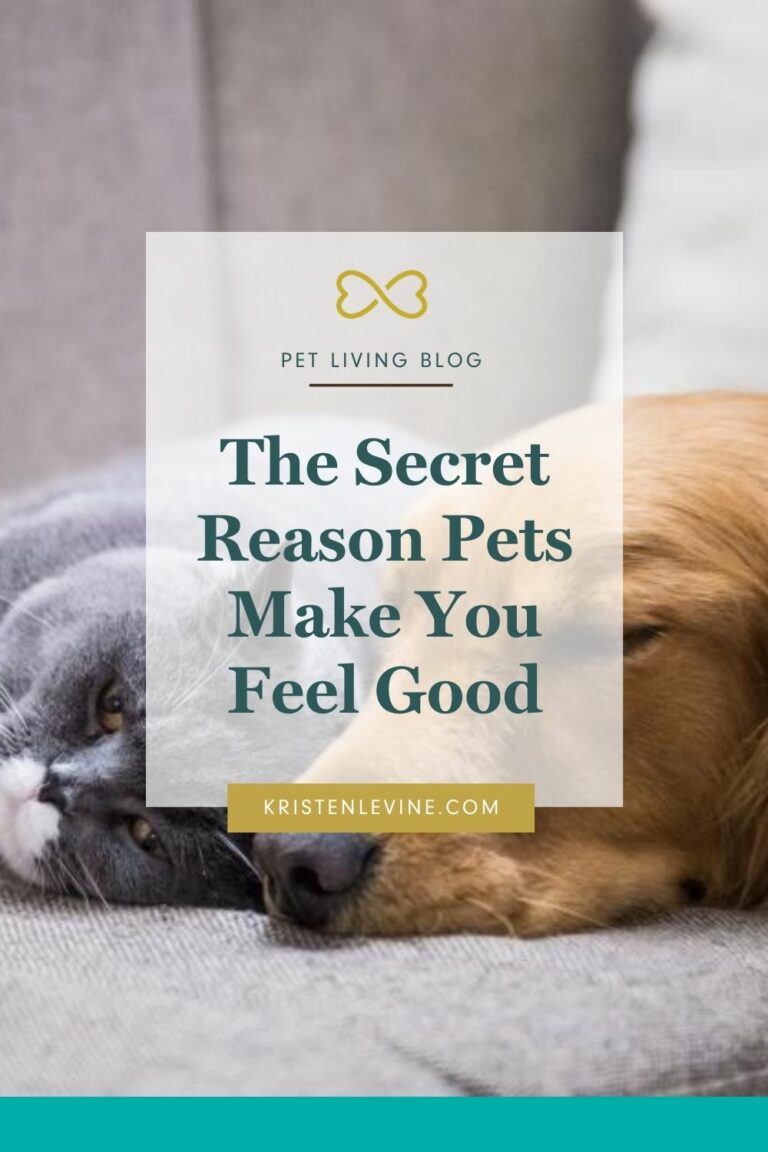 The Secret Reason Pets Make You Feel Good