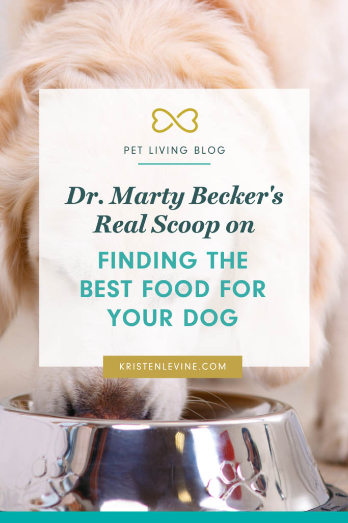 Dr. Marty Becker's Real Scoop on Finding the Best Dog Food for Your Dog