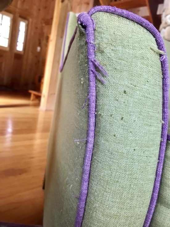 What to Do When Your Cat Scratches Your Chair