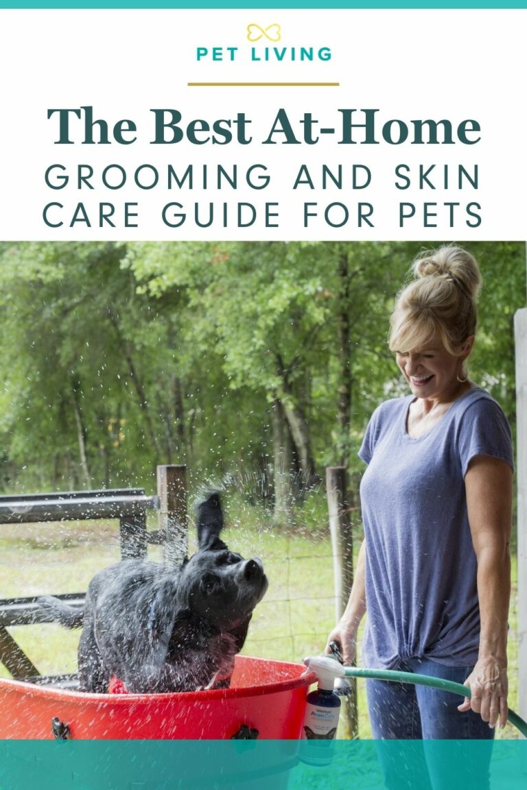 The Best At-Home Grooming and Skin Care Guide for Pets