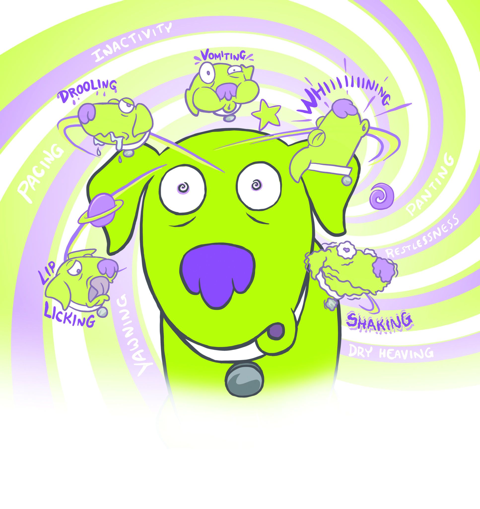 How to Help a Dog Who Has Motion Sickness