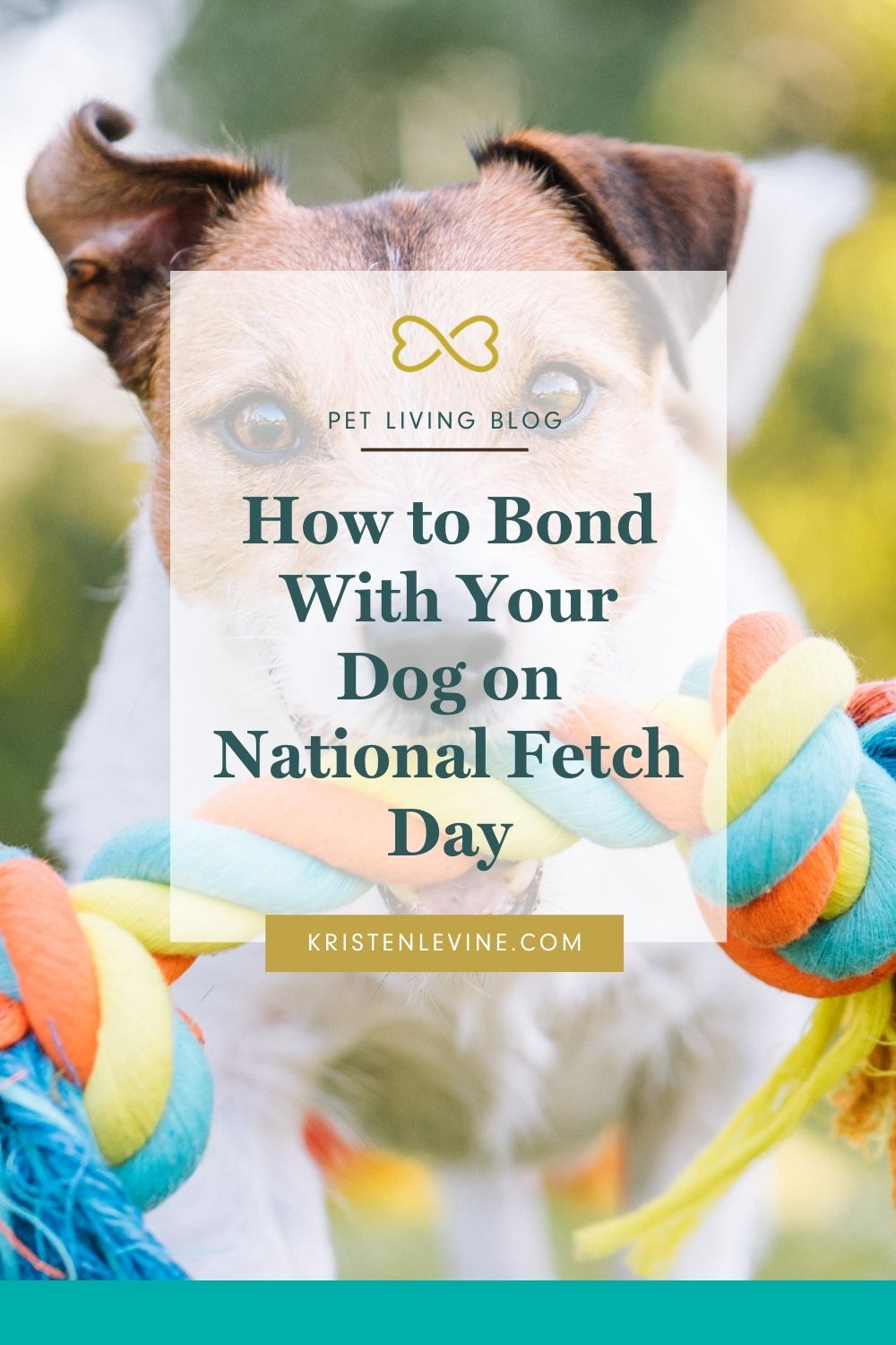 How to Bond With Your Dog on National Fetch Day