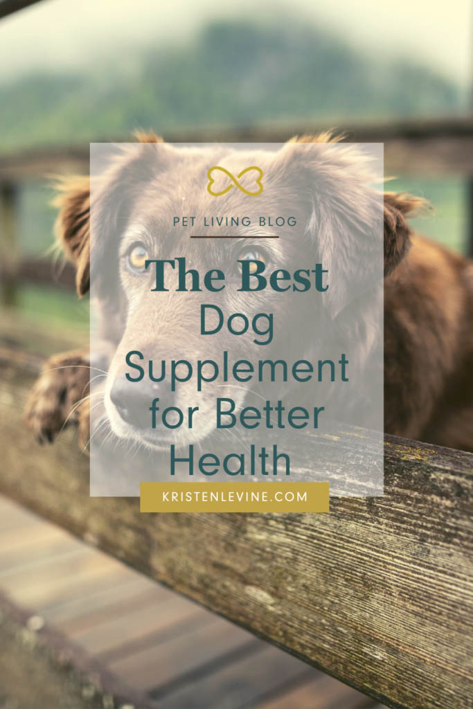 The Best Dog Supplement for Better Health