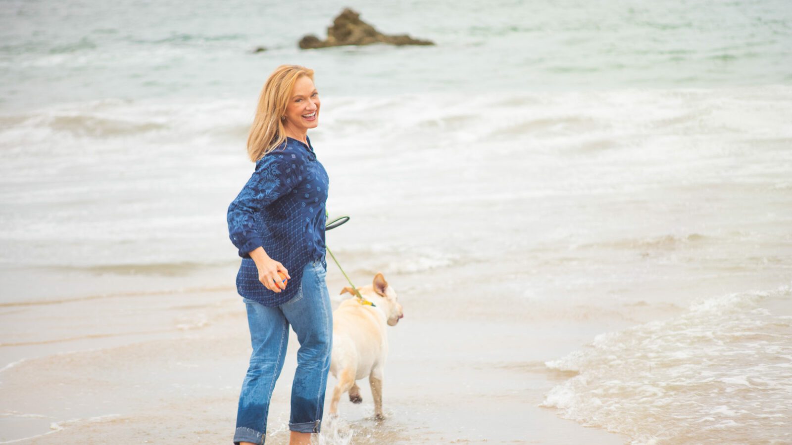The Story So Far | Kristen Levine Pet Living