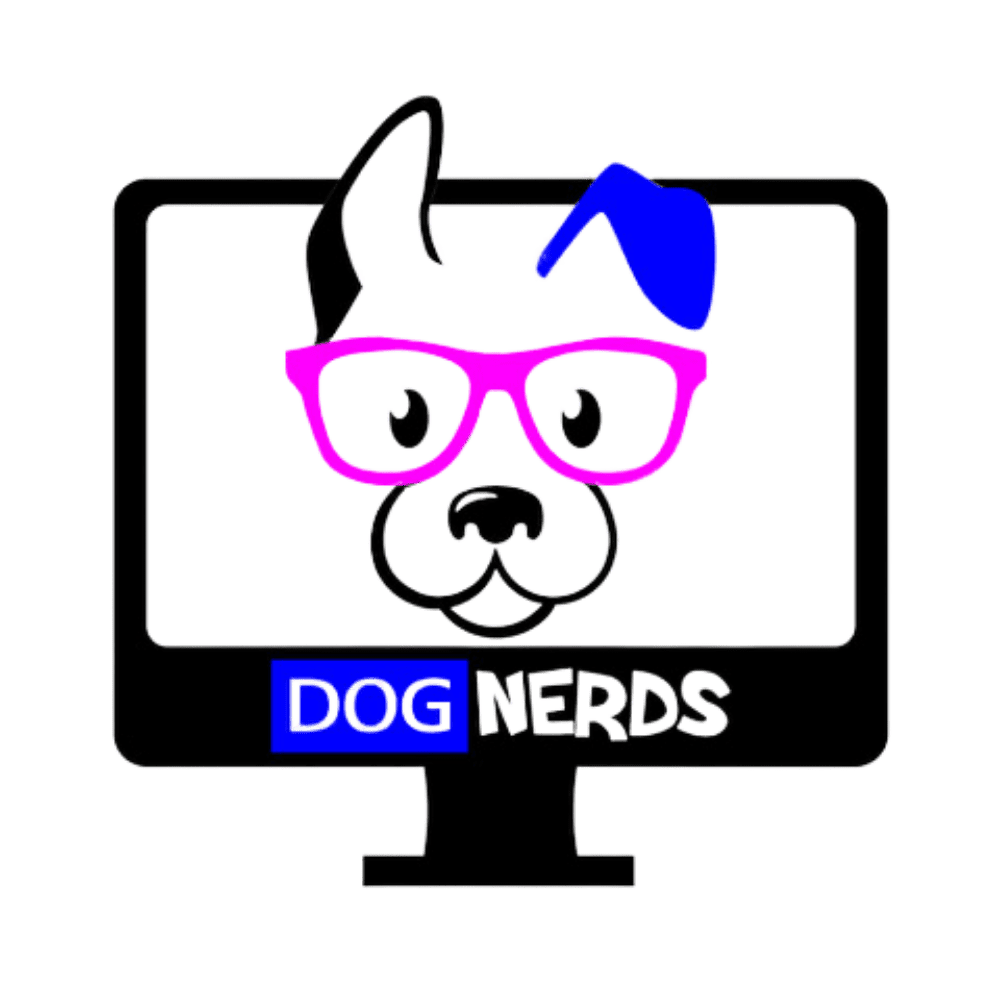 Treatments and Products to Manage Cat and Dog Anxiety