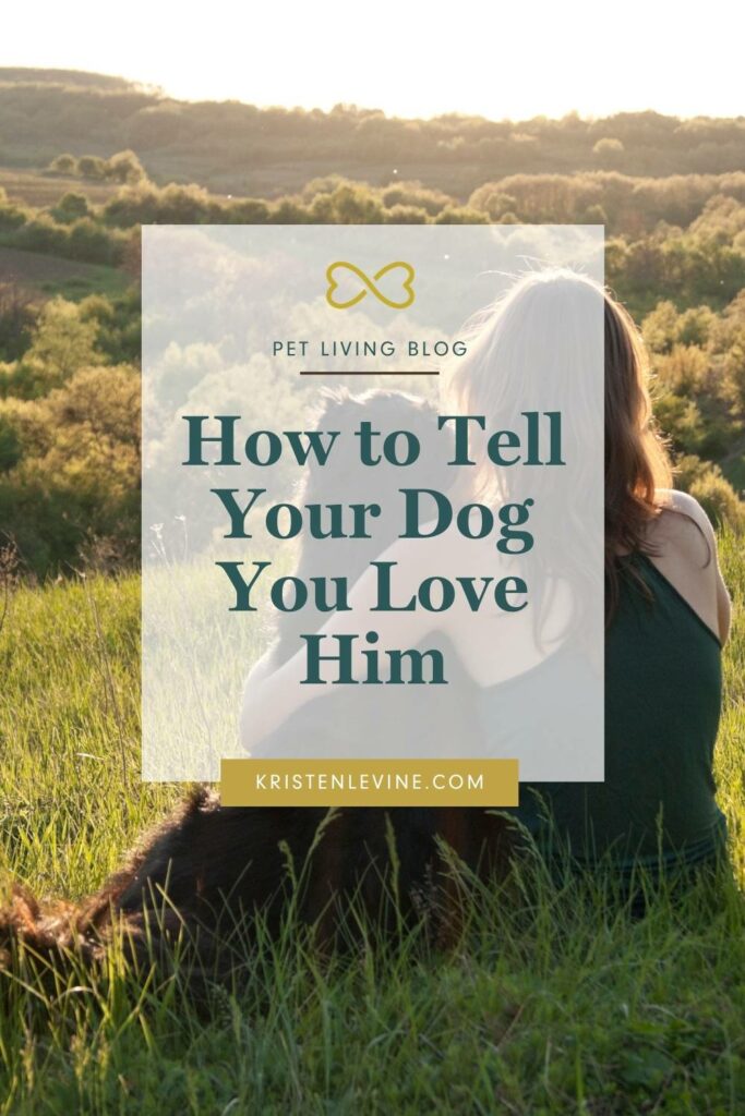 7 Ways to Tell Your Dog You Love Them