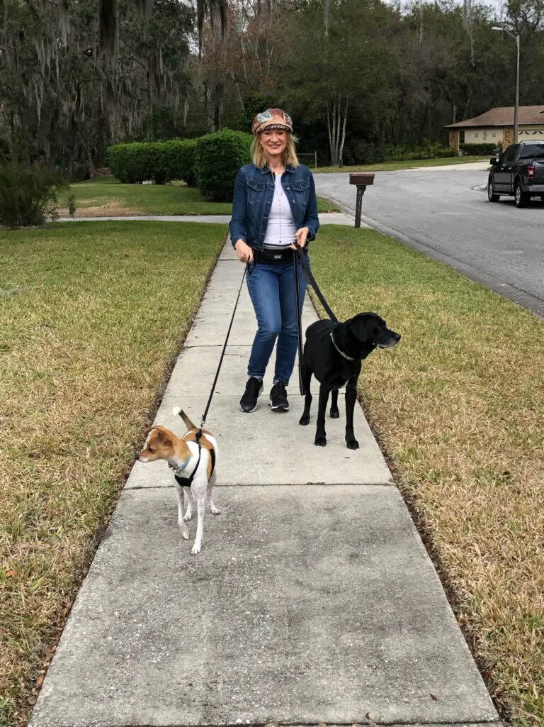6 Helpful Tips to Manage Your Dog's Leash Reactivity