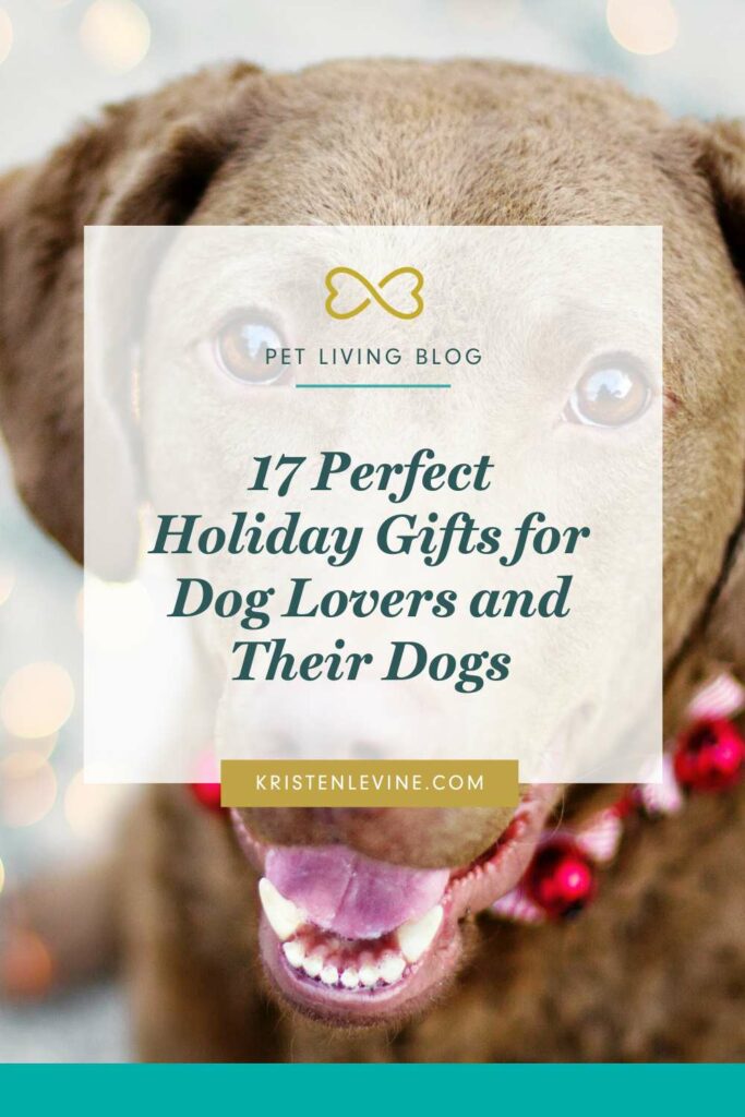 17 Perfect Holiday Gifts for Dog Lovers and Their Dogs