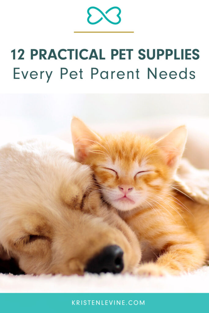 12 Practical Pet Supplies Every Pet Parent Needs