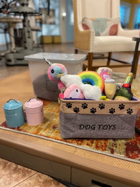 12 Practical Pet Supplies Every Pet Parent Needs