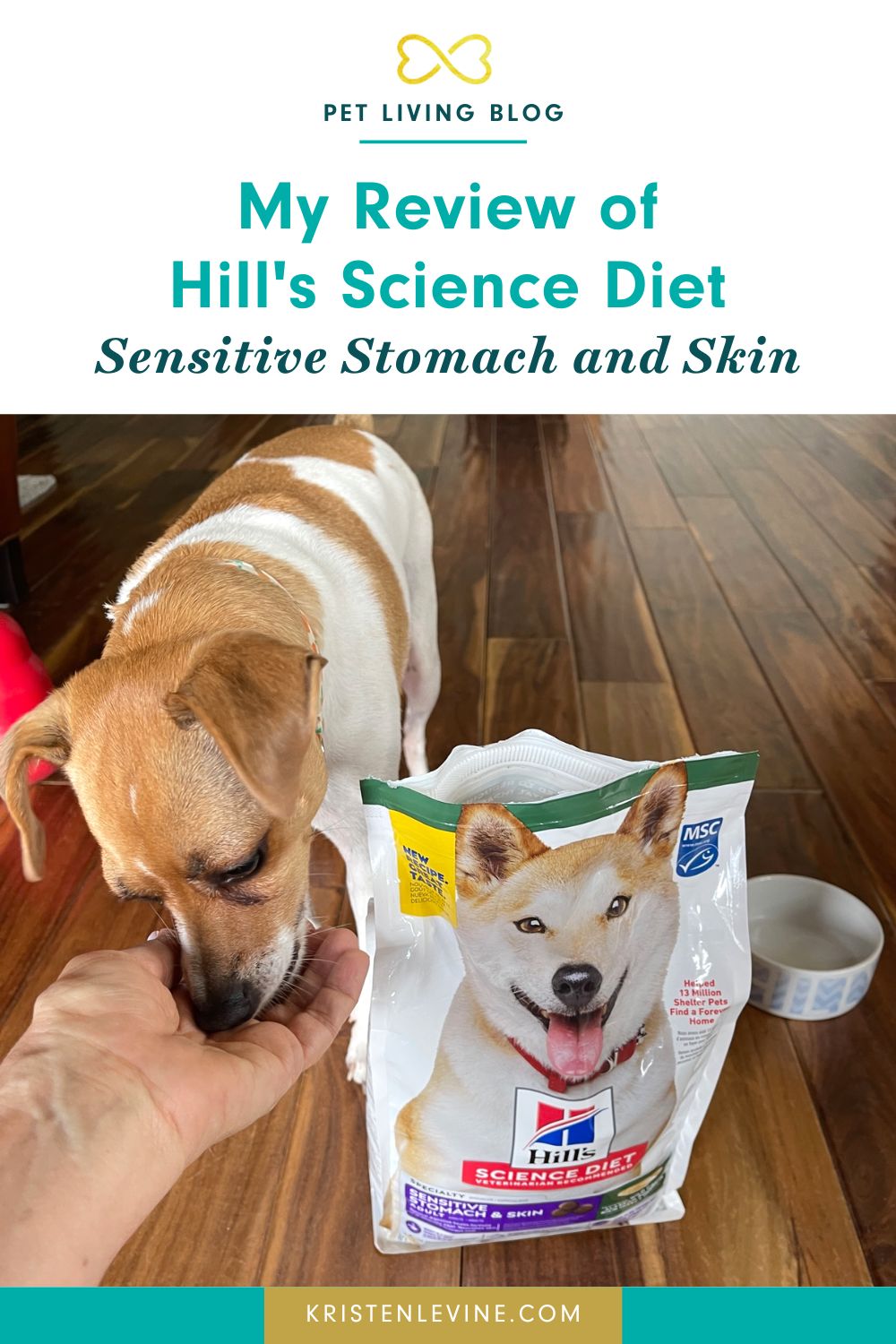 My Review of Hill's Science Diet Sensitive Stomach and Skin