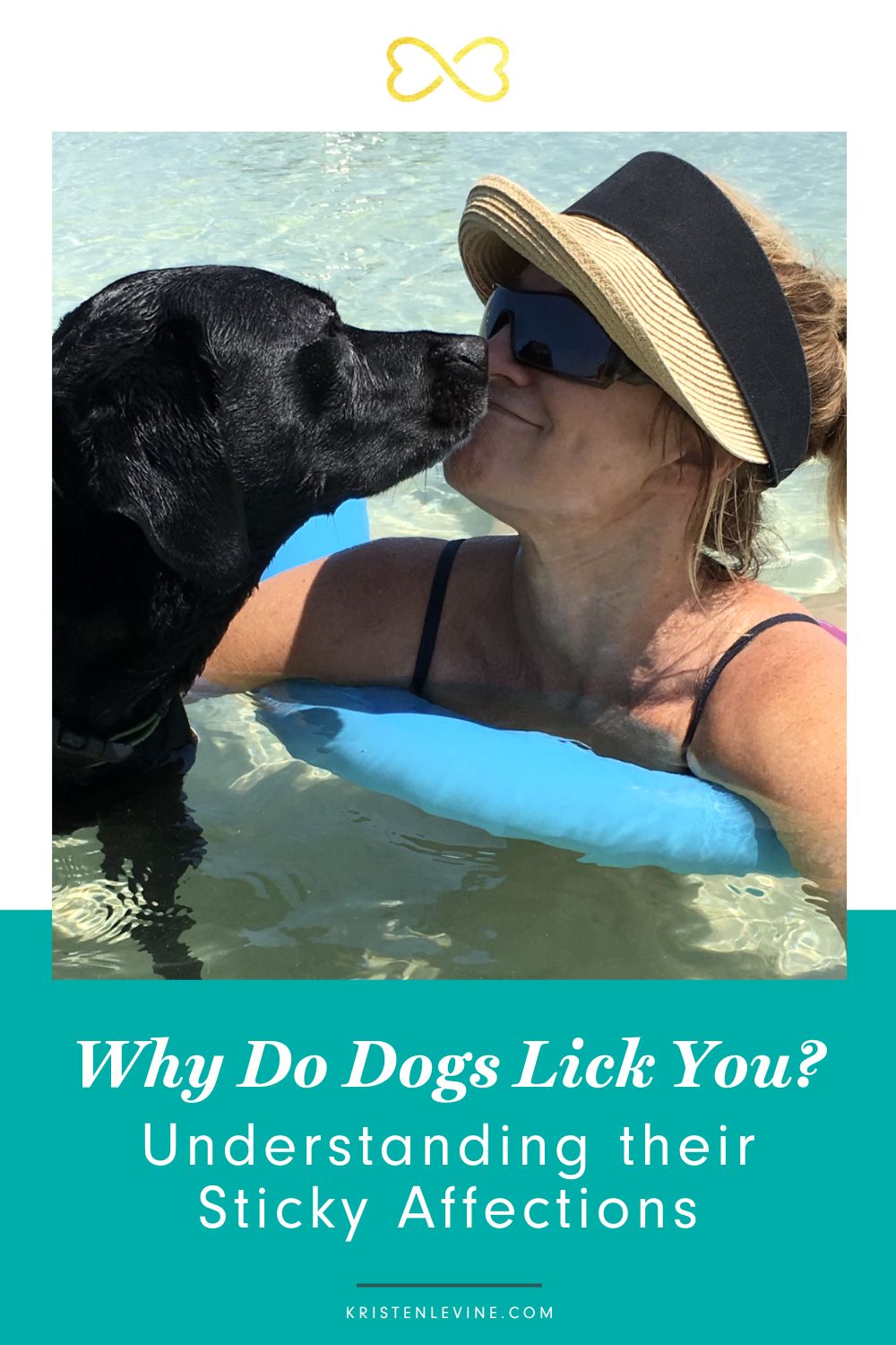 Why Do Dogs Lick You? | Pet Living with Kristen Levine