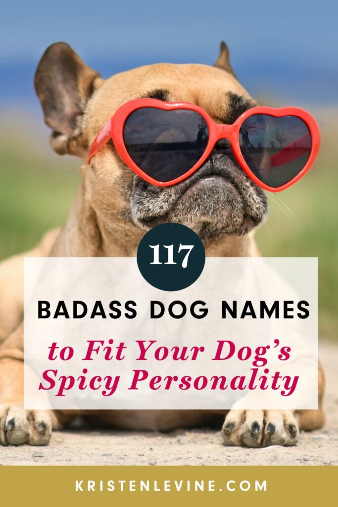 117 Badass Dog Names to Fit Your Dog's Spicy Personality