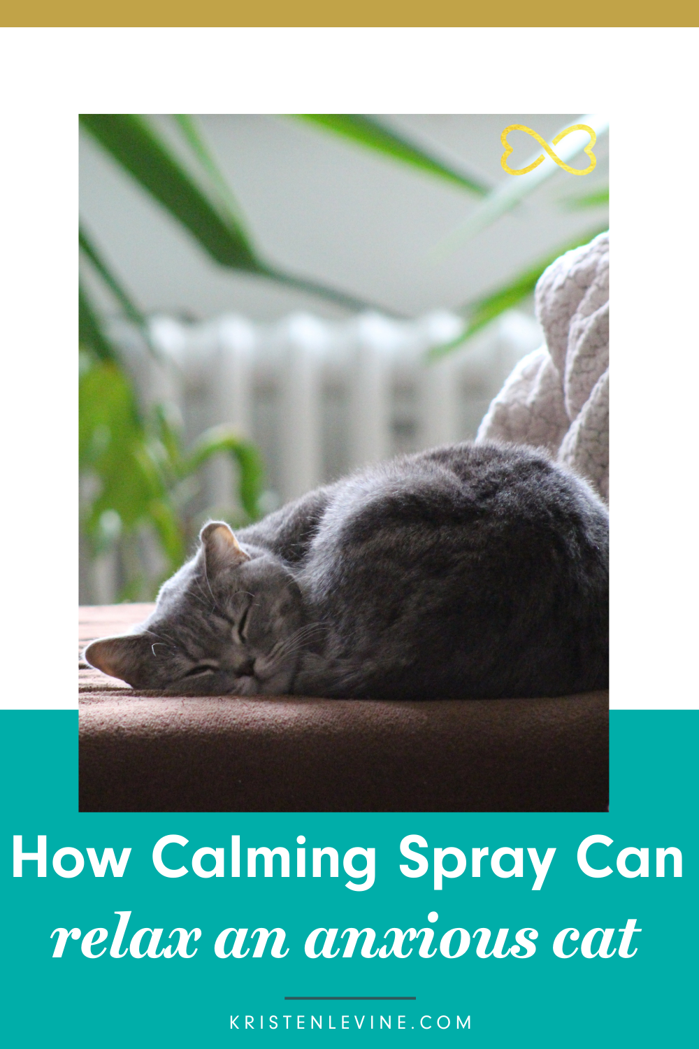 How Calming Spray Can Help Relax Your Anxious Cat